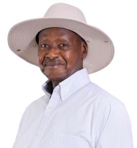 The Vice President - State House Uganda