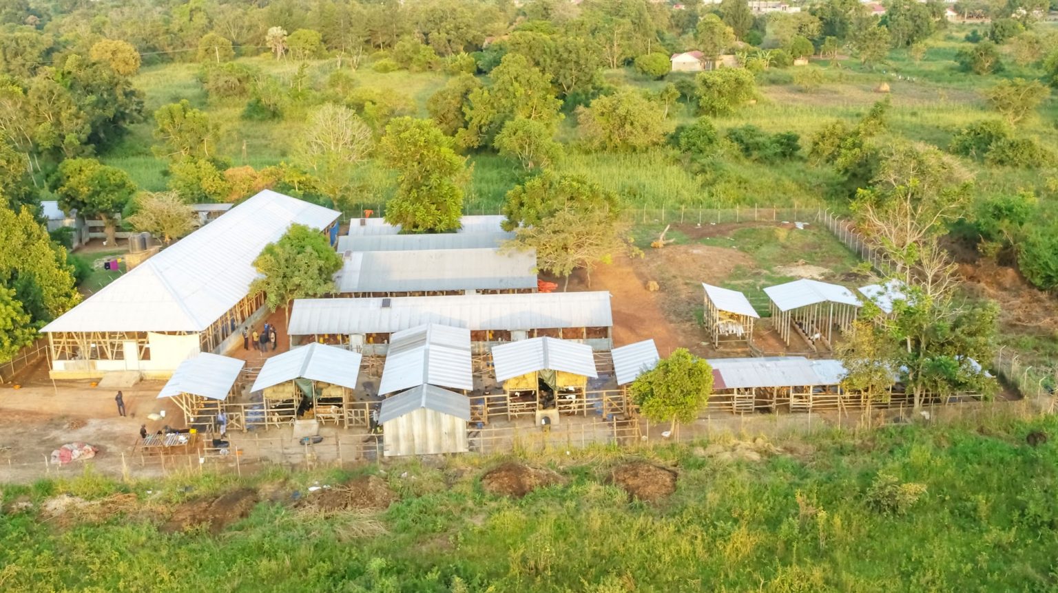 How President Museveni’s Four-Acre Model Message Transformed A Life ...