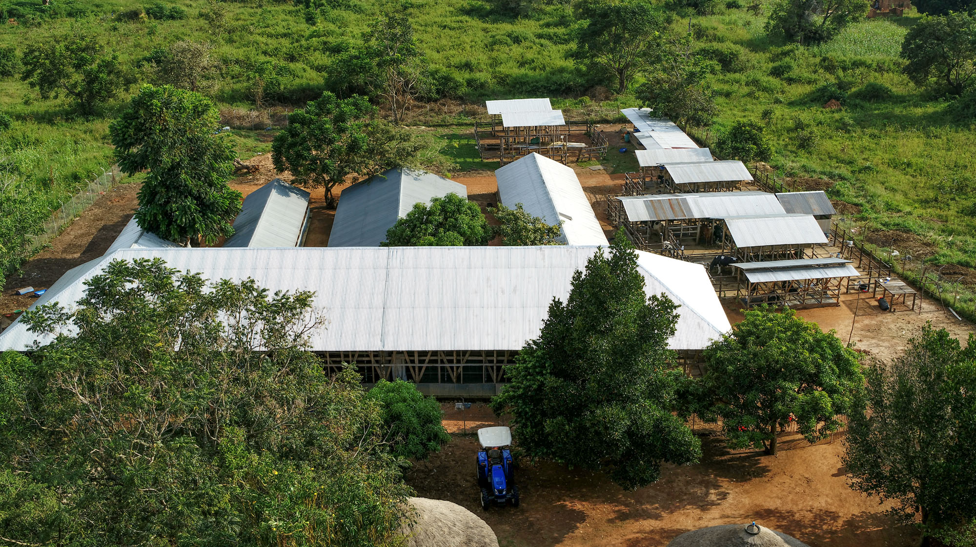 How President Museveni’s Four-Acre Model Message Transformed A Life ...